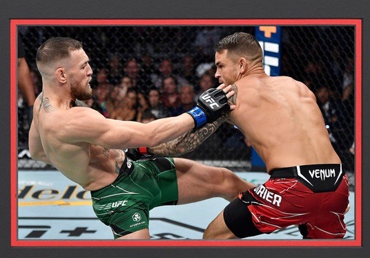 Sports Licensing: UFC and TMG Launch New E-Commerce Website - The ...