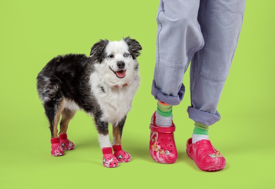 Crocs Celebrates Croctober with Limited-Edition Pet Clogs and Life ...